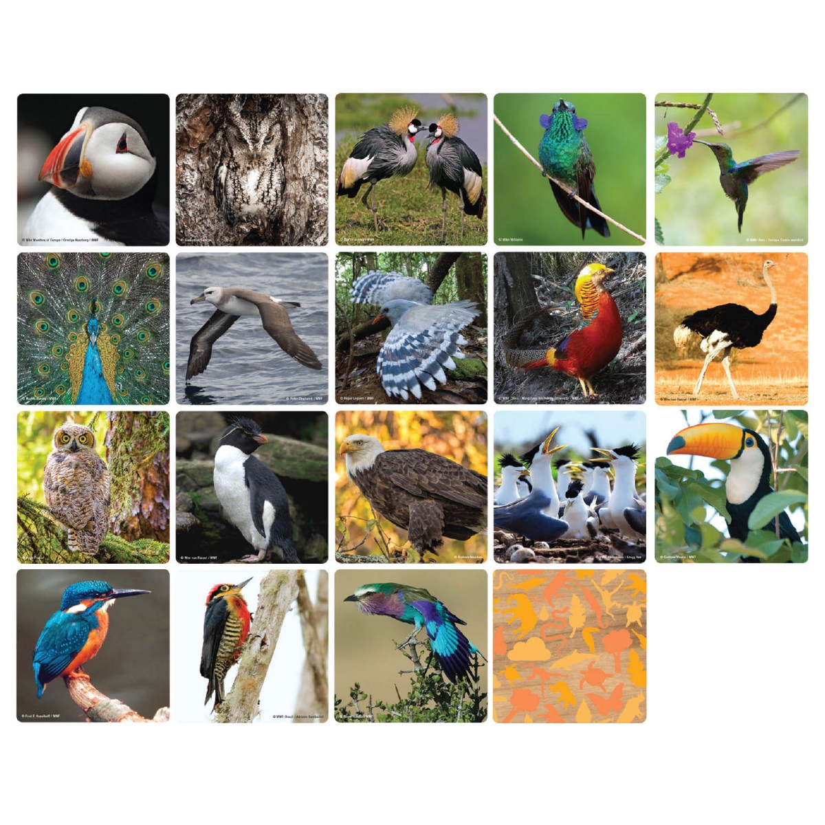 WWF Matching Game - Birds - Puzzles