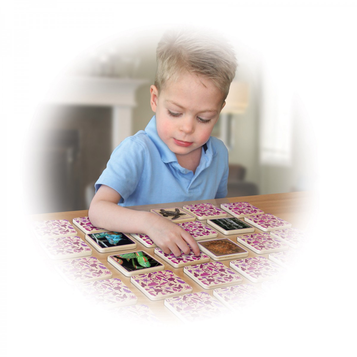 WWF Reptiles Matching Game - Instruction Manuals - Customer Care